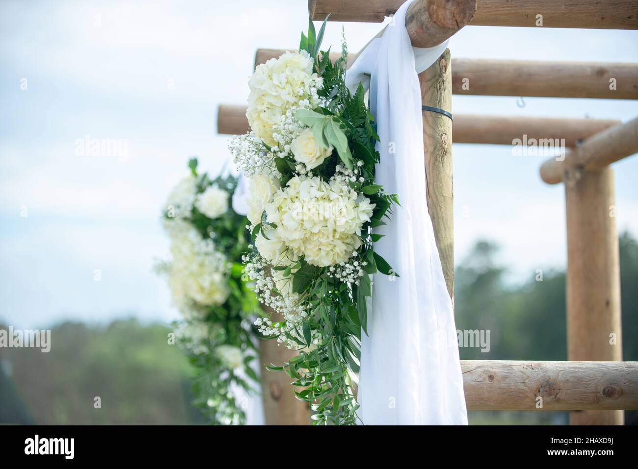 Arch of tropical plants hi-res stock photography and images - Alamy
