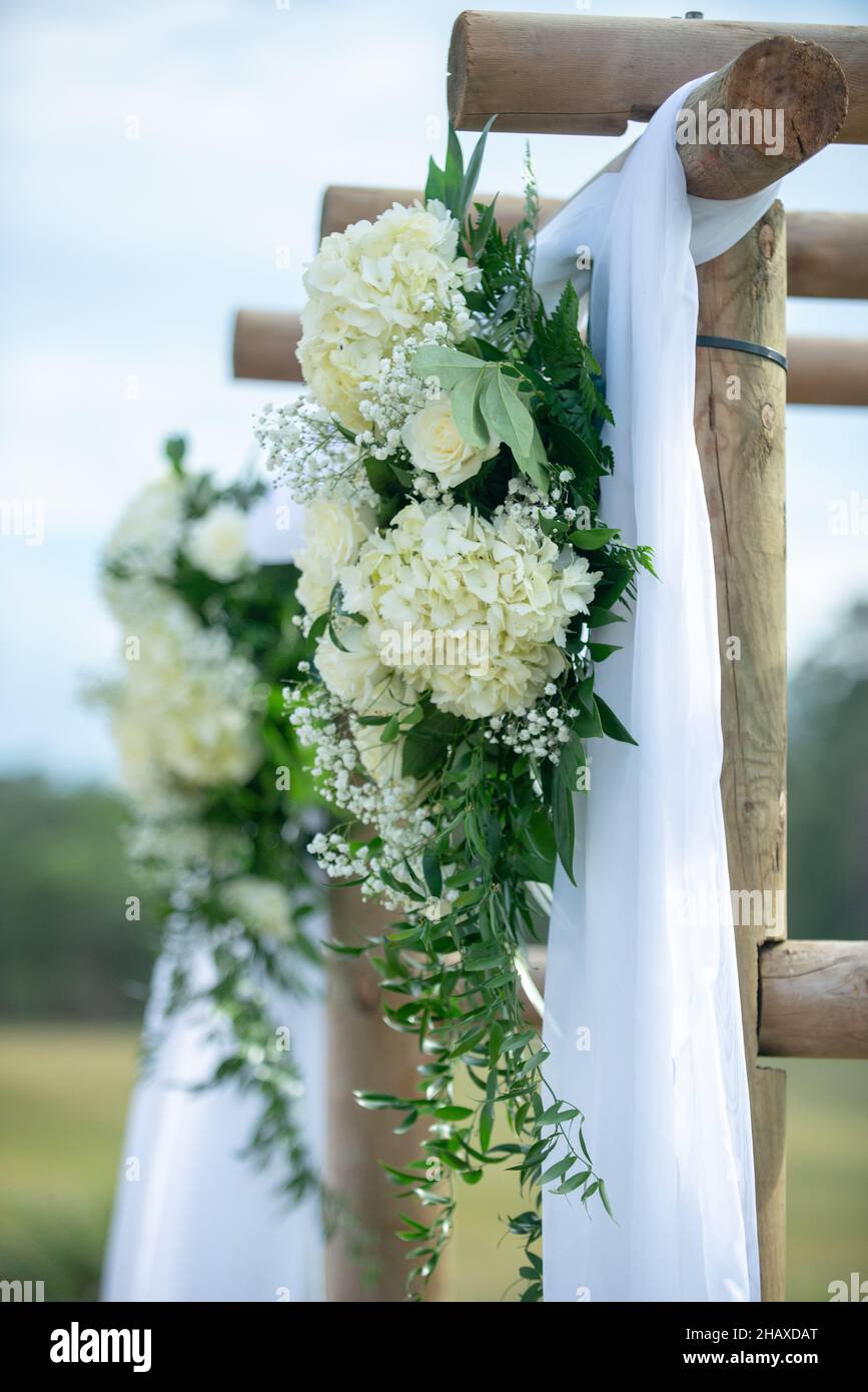 Arch of tropical plants hi-res stock photography and images - Alamy