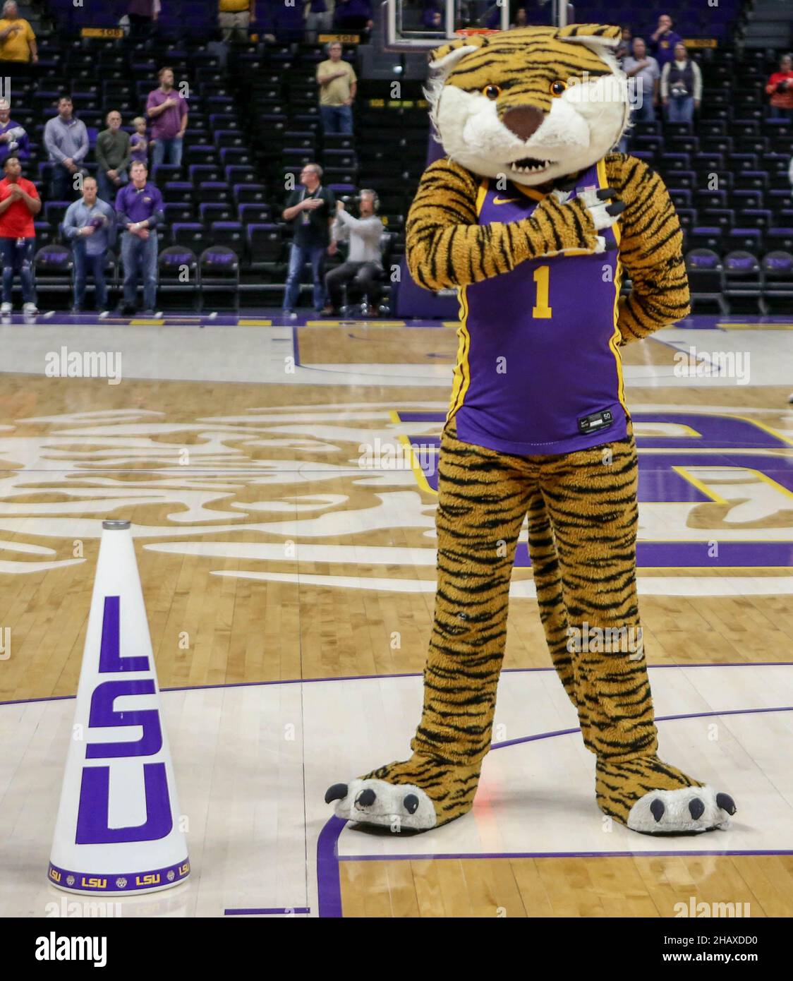 Mike the tiger hi-res stock photography and images - Alamy