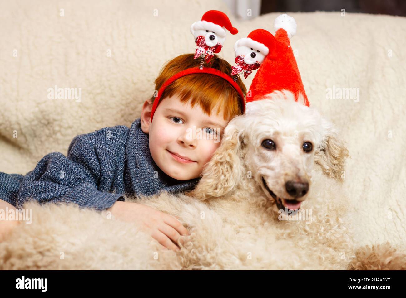 Boy with a poodle hi-res stock photography and images - Alamy