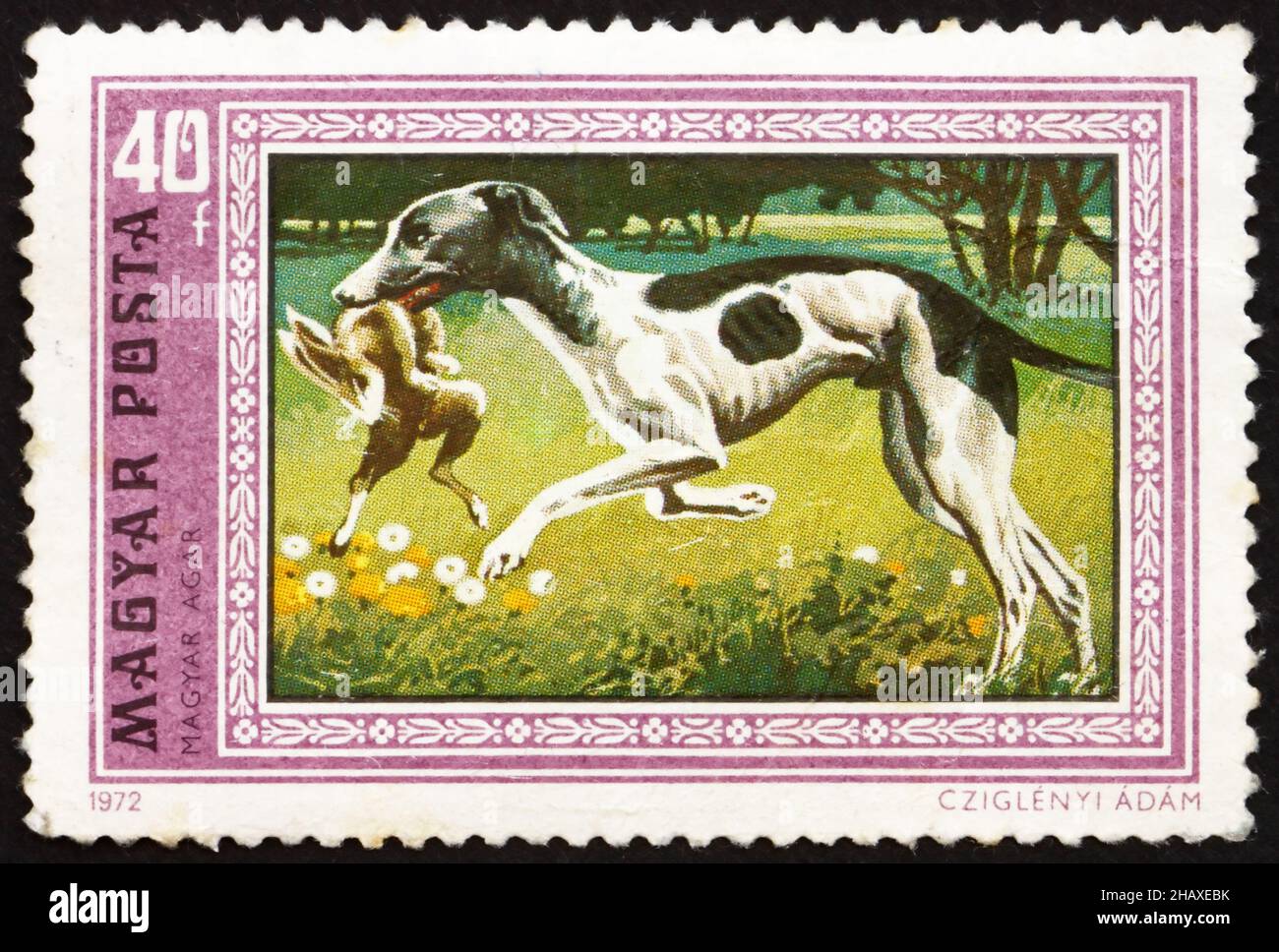 HUNGARY - CIRCA 1972: a stamp printed in the Hungary shows Hungarian ...