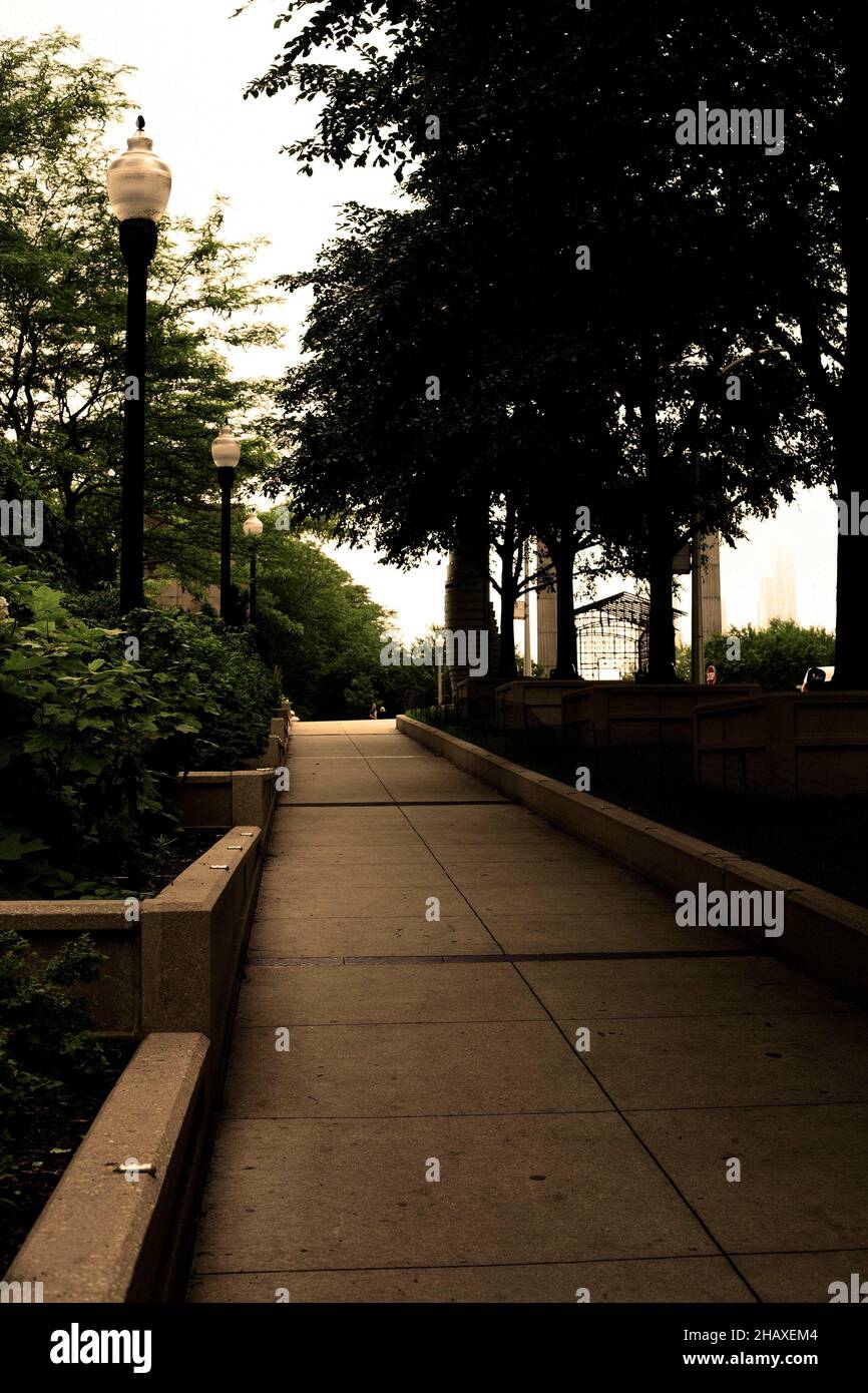 Vertical shot of a pathway in a park surrounded by trees Stock Photo ...