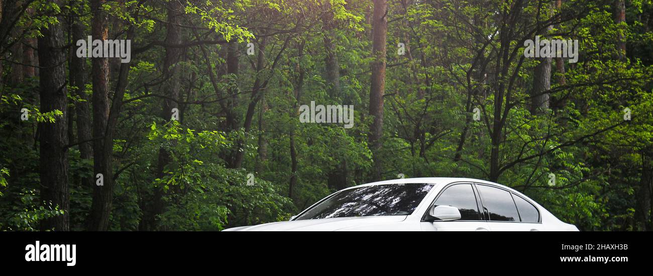 Part of a beautiful car on the background of the forest. Horizontal ...