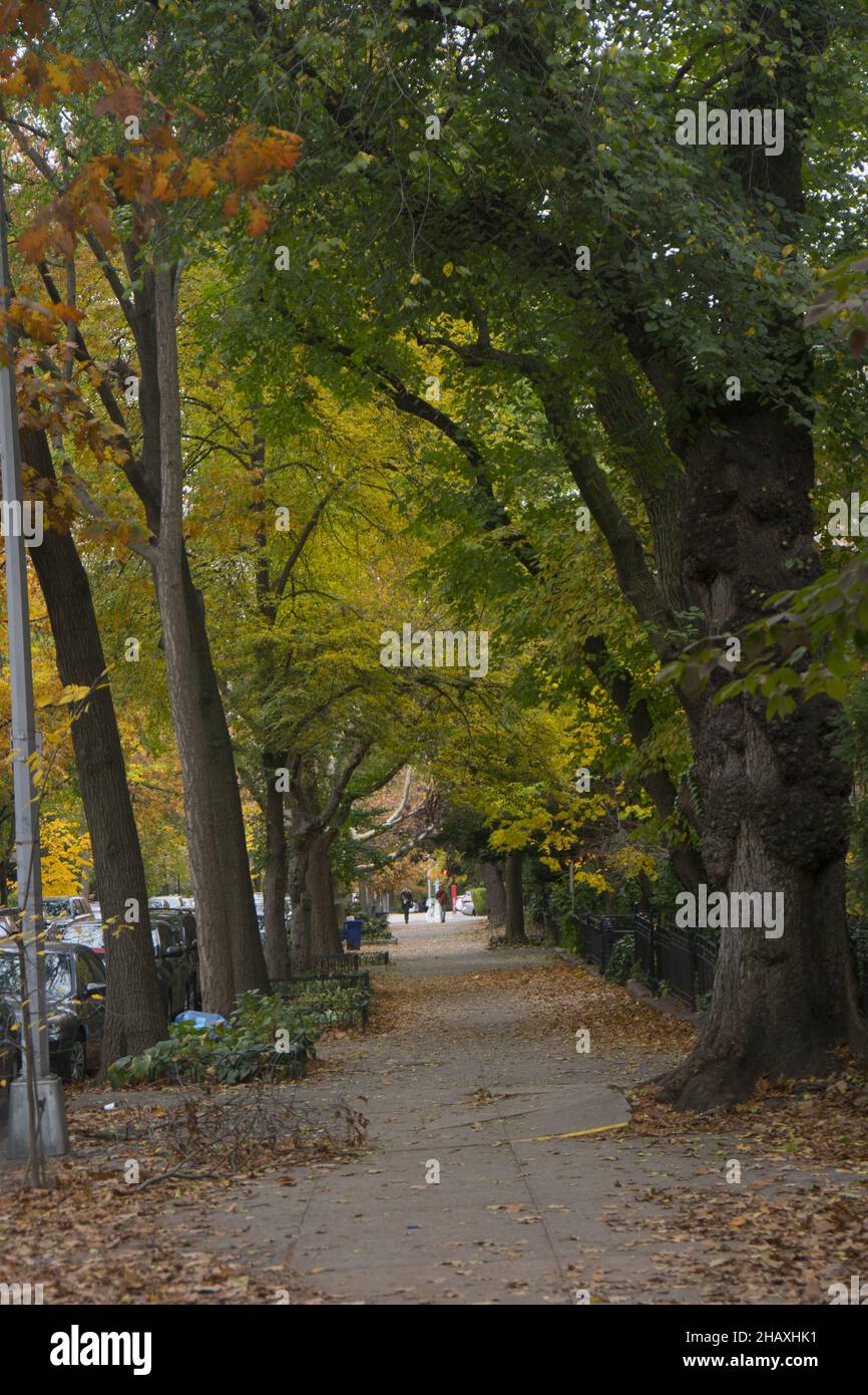 Sidewalk slope hi-res stock photography and images - Alamy