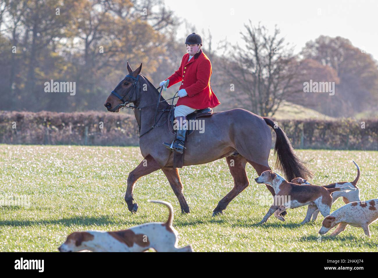 WINTER TRAIL HUNTING Stock Photo - Alamy