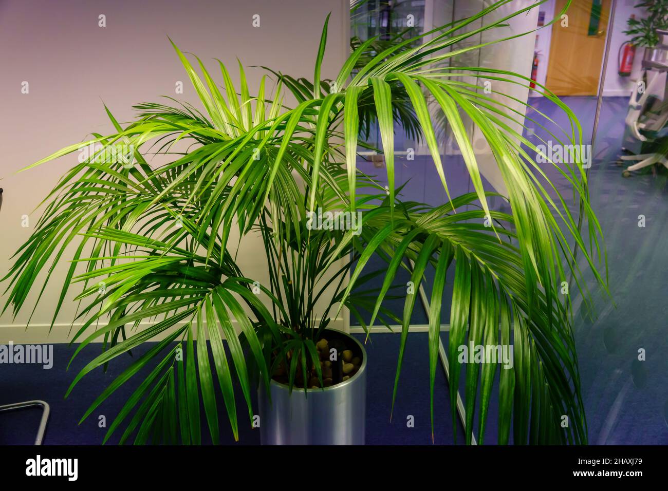 Open plan office interior hi-res stock photography and images - Alamy