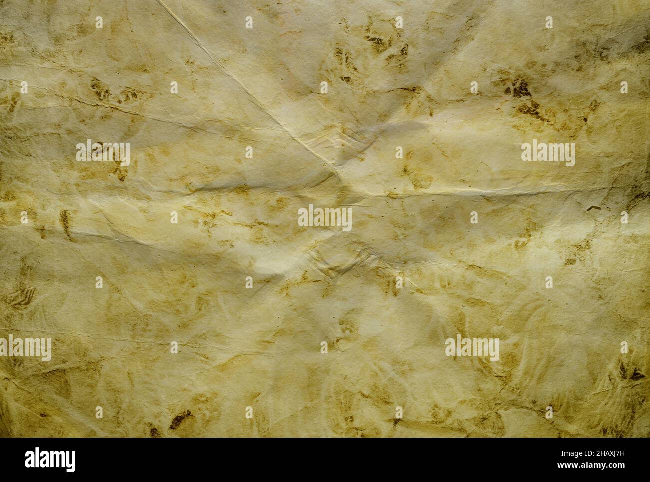Close up of Vintage Paper Texture Background Stock Photo - Alamy