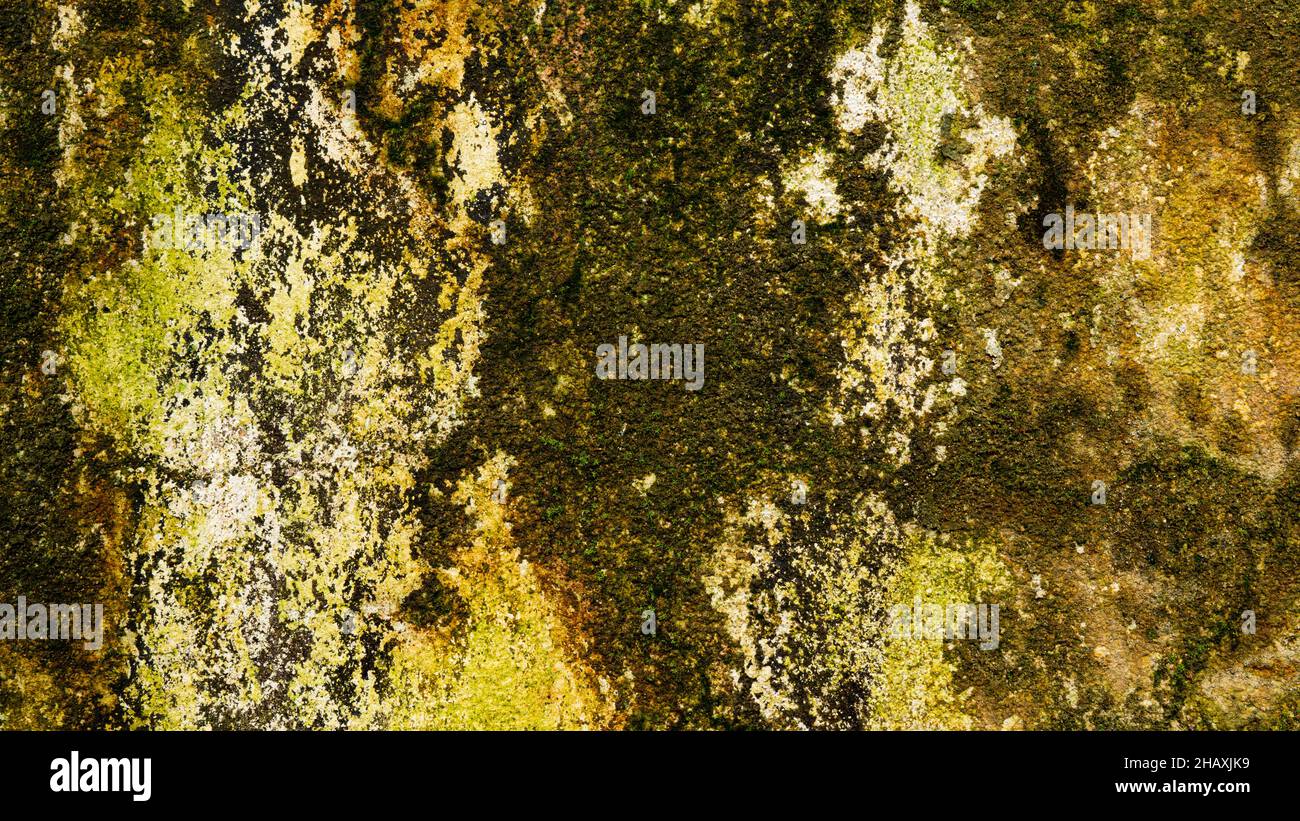 very old texture background structure Stock Photo - Alamy