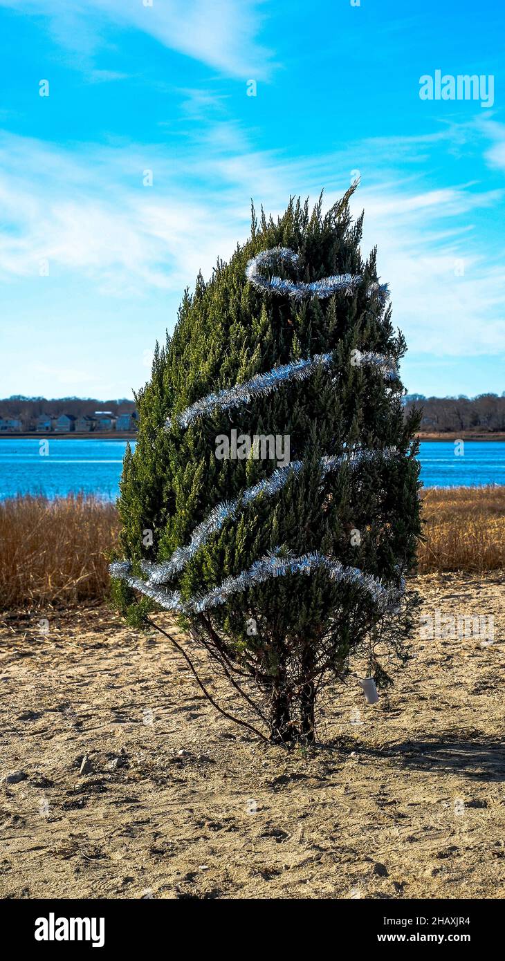 Christmas tree on beach in beautiful sunny day with blue sky with ...