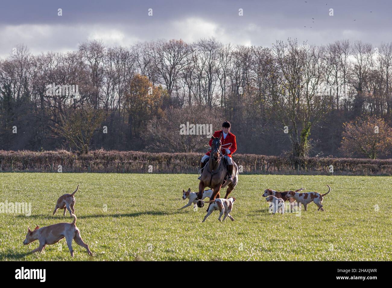 WINTER TRAIL HUNTING Stock Photo - Alamy