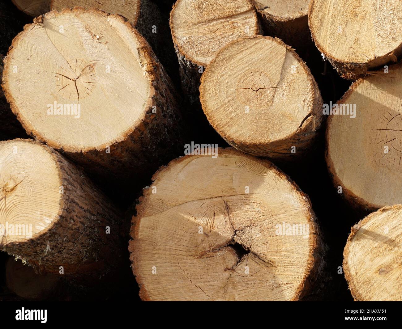 End view hi-res stock photography and images - Alamy