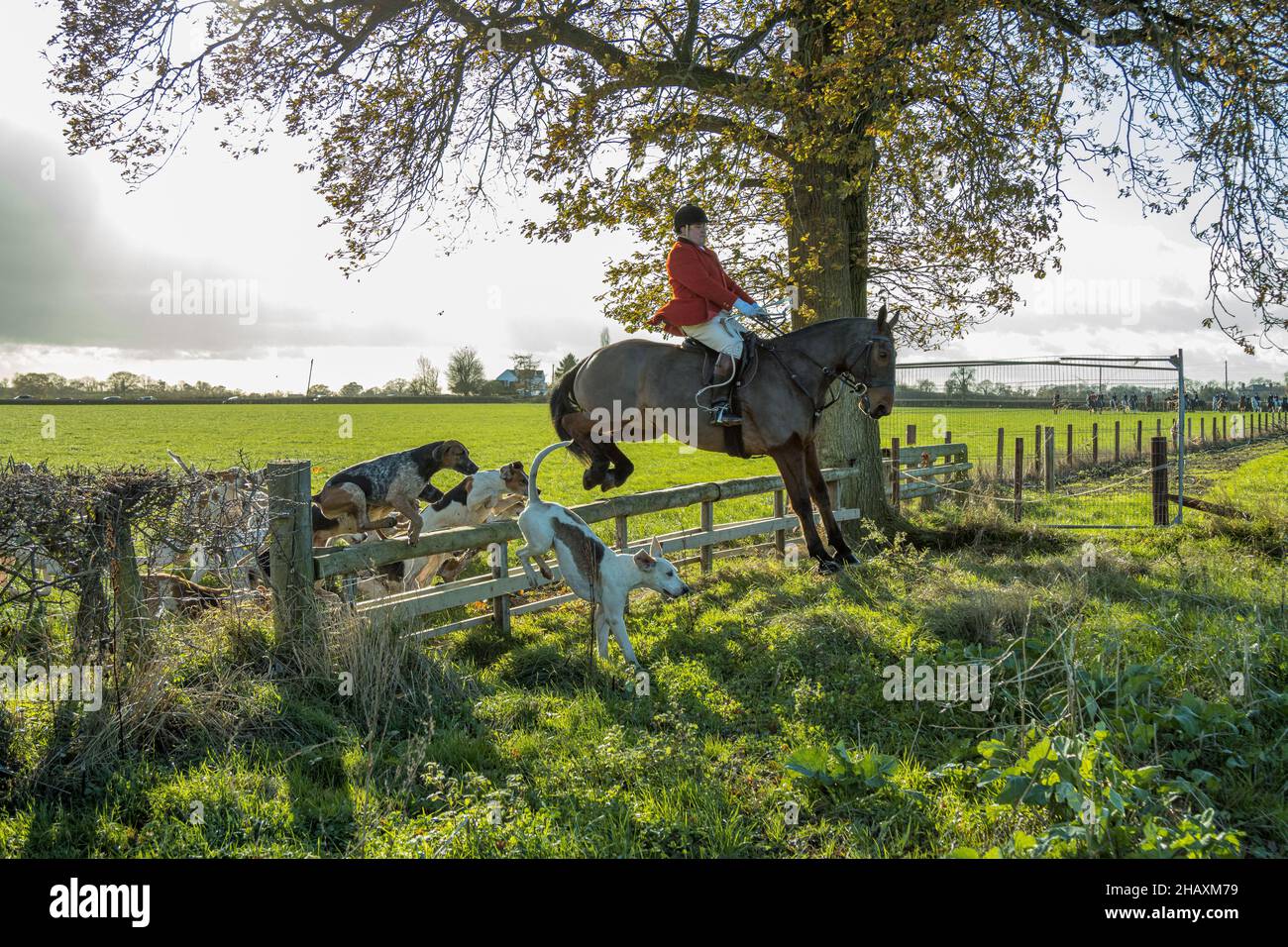 WINTER TRAIL HUNTING Stock Photo - Alamy