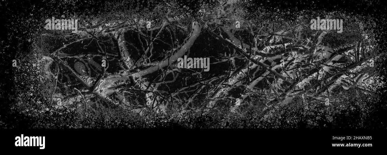 Dark scary grunge forest tunnel of vines texture wall background horror ...