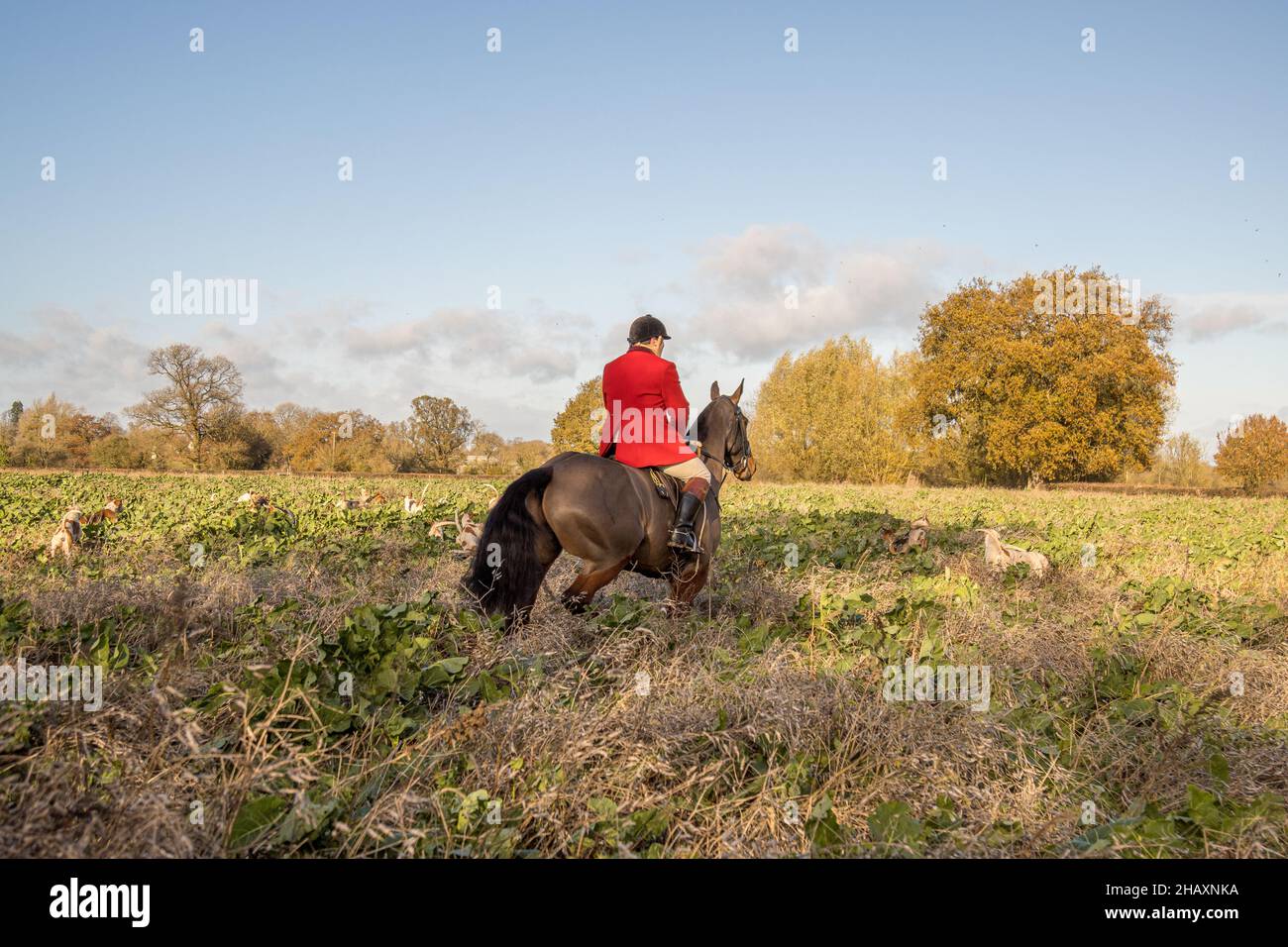 WINTER TRAIL HUNTING Stock Photo - Alamy