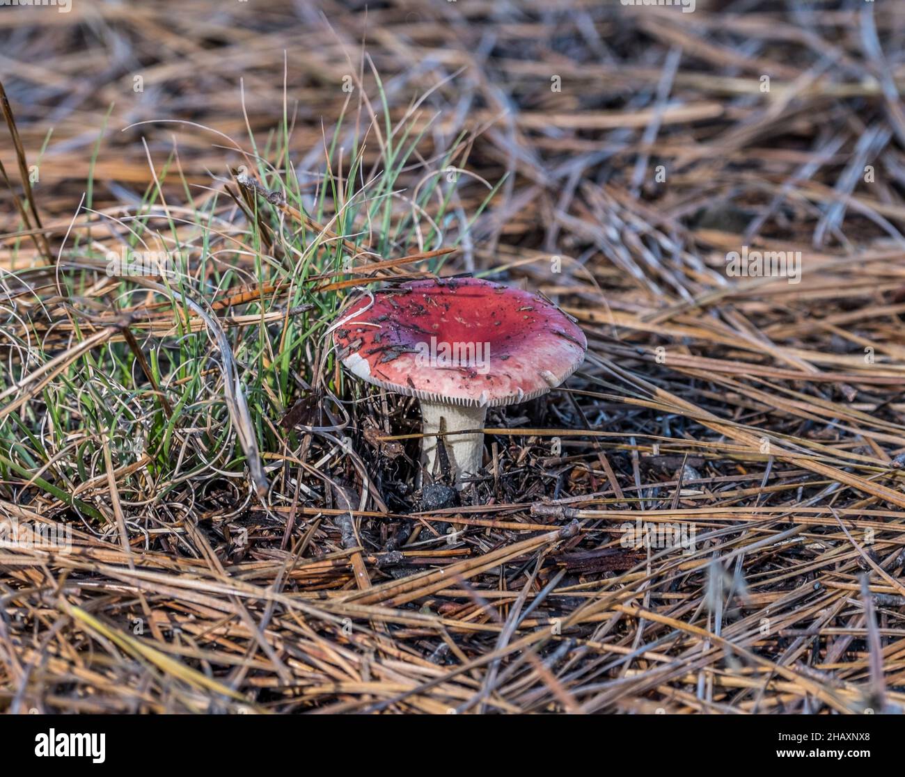 Concave floor hi-res stock photography and images - Alamy