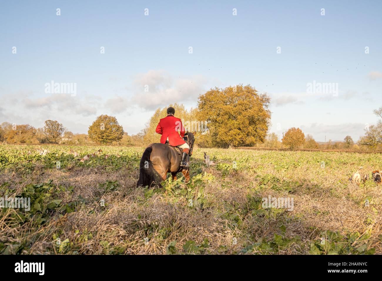 WINTER TRAIL HUNTING Stock Photo - Alamy
