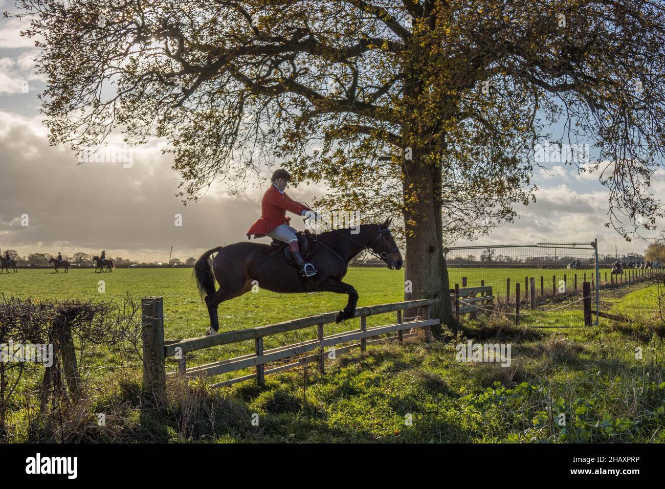 WINTER TRAIL HUNTING Stock Photo - Alamy