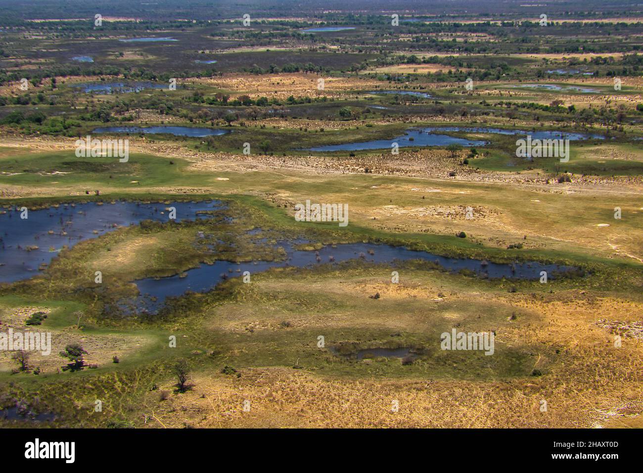 Aerial view of the greenery ofOkavango Delta in Botswana on a hot sunny ...