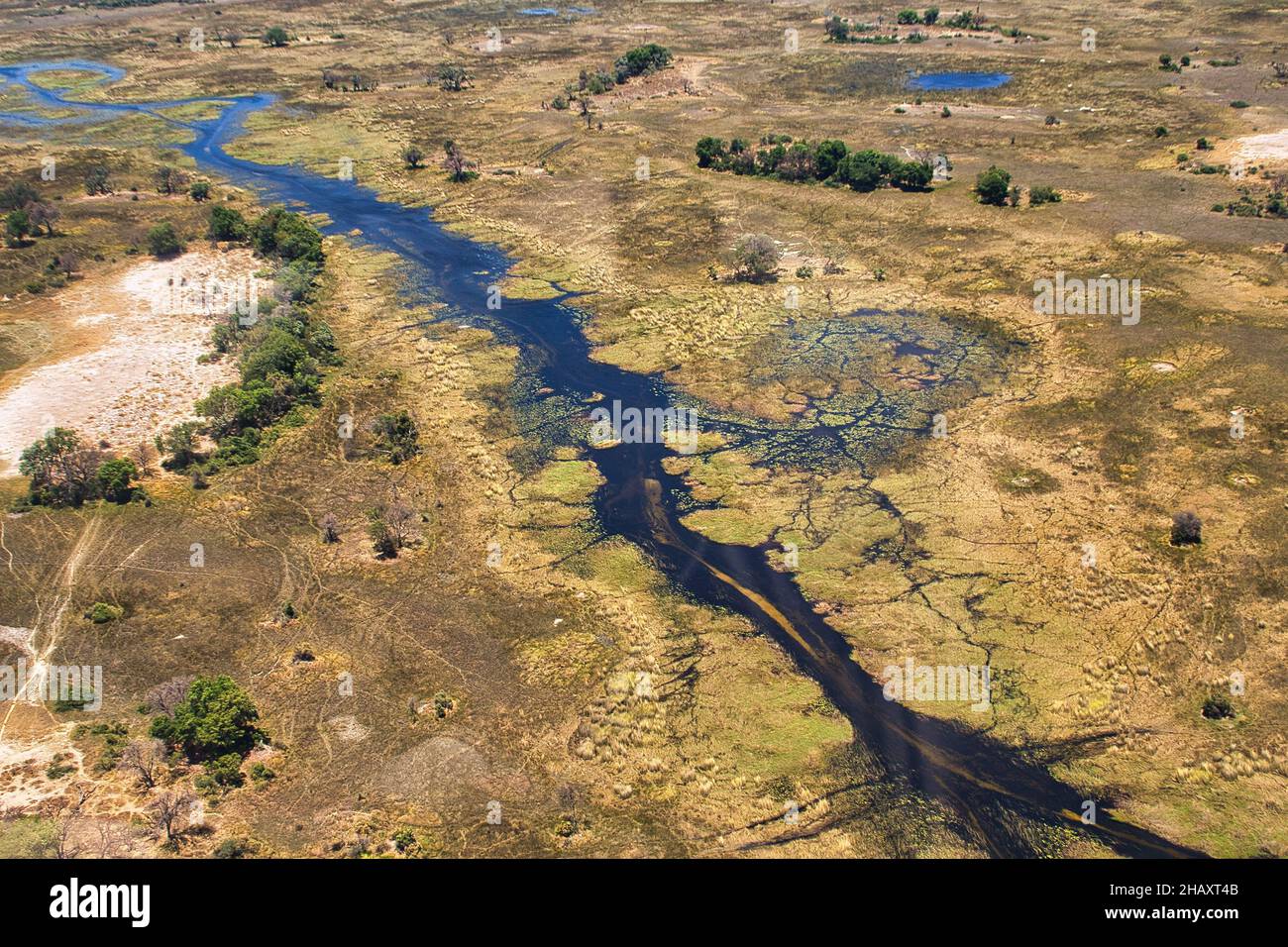 Aerial view of the greenery of Okavango Delta in Botswana on a hot ...