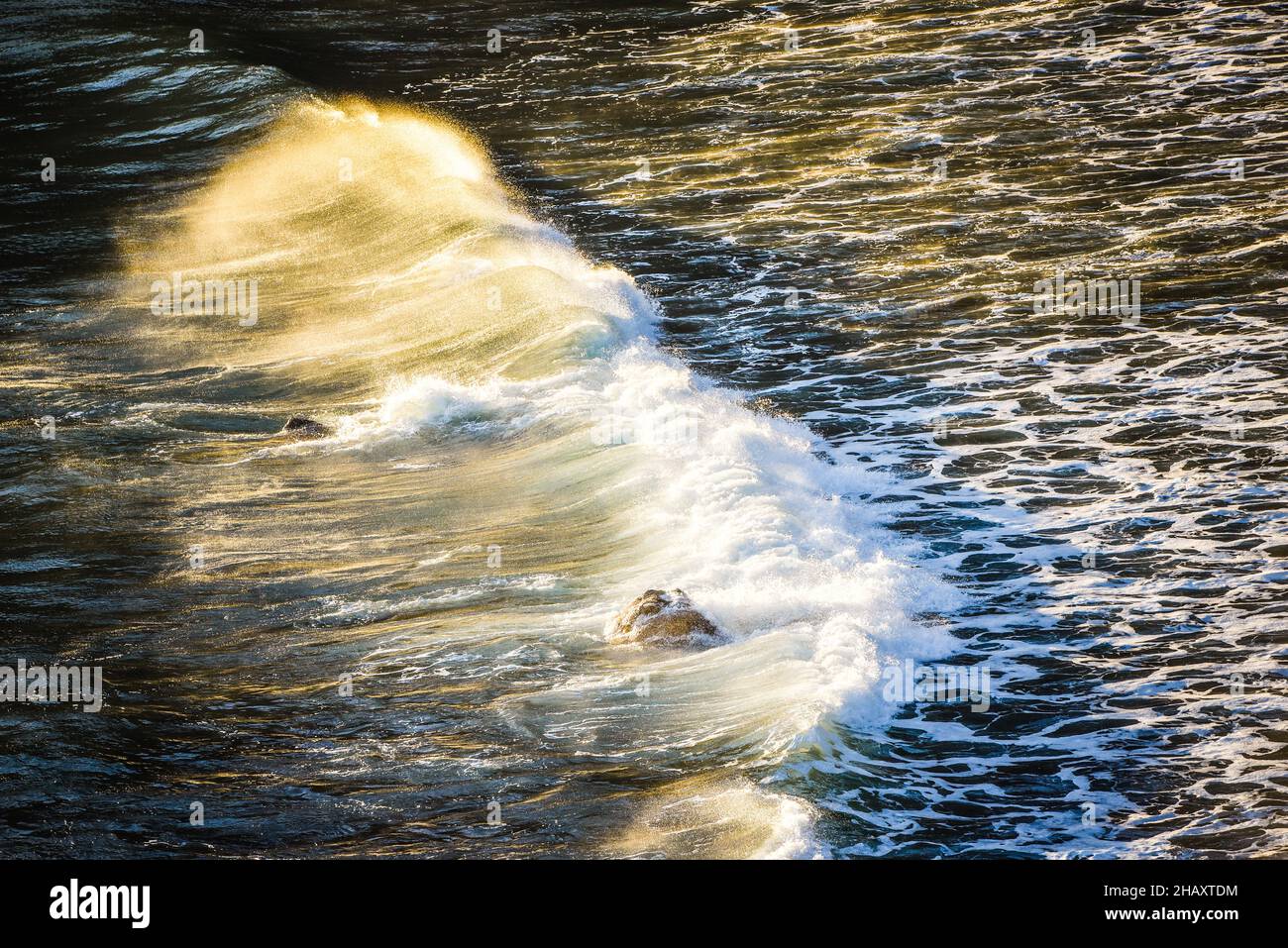 Golden sea waves in morning sunrise in Madeira island, Portugal Stock ...