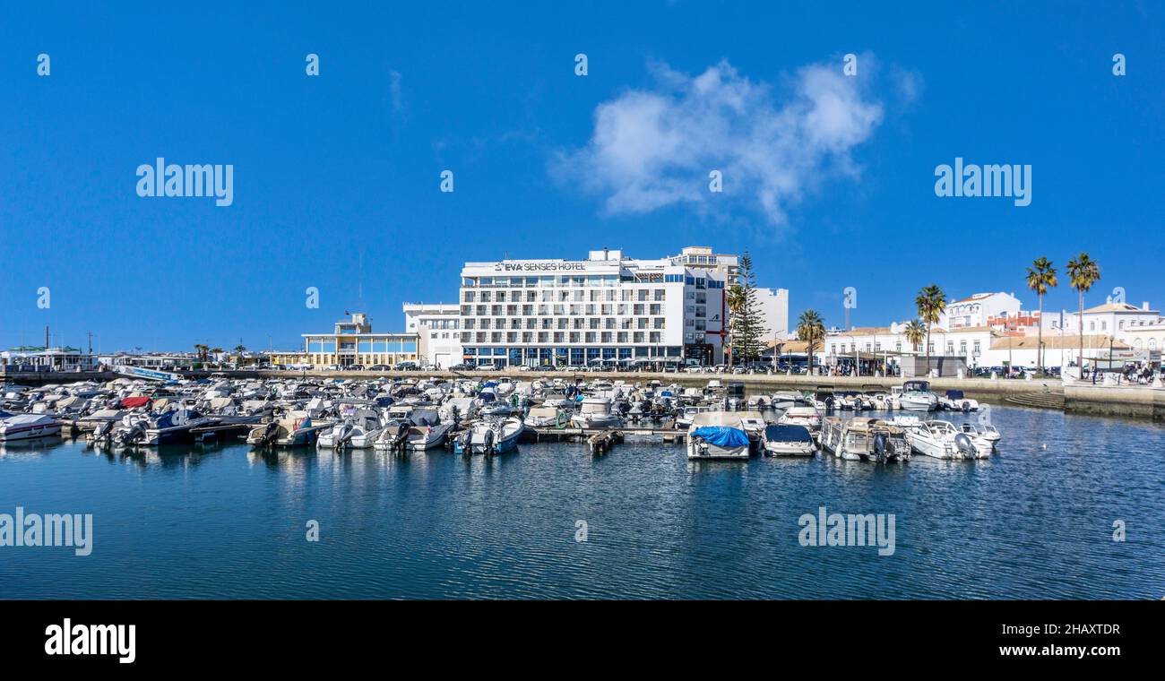 Eva senses hi-res stock photography and images - Alamy