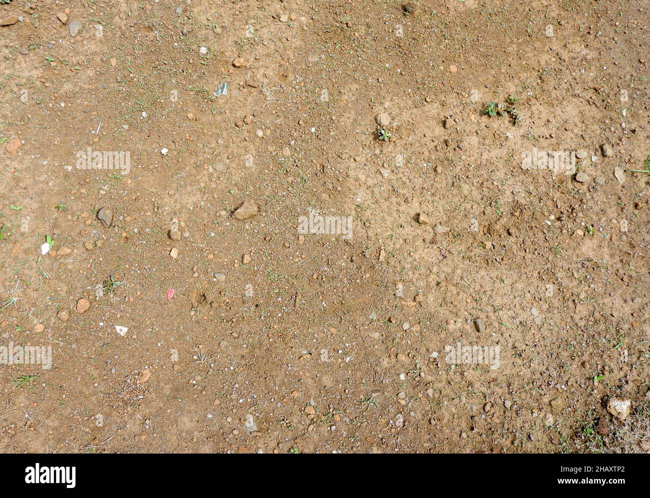 Gravel soil hi-res stock photography and images - Alamy