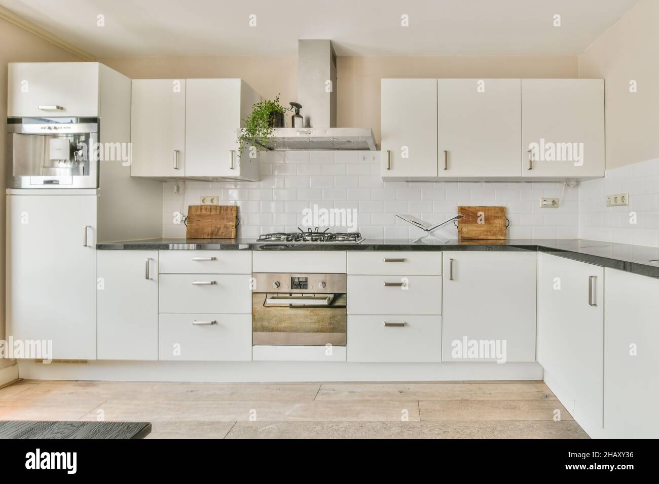 Counter with sink and stove under extract hood placed in light kitchen ...