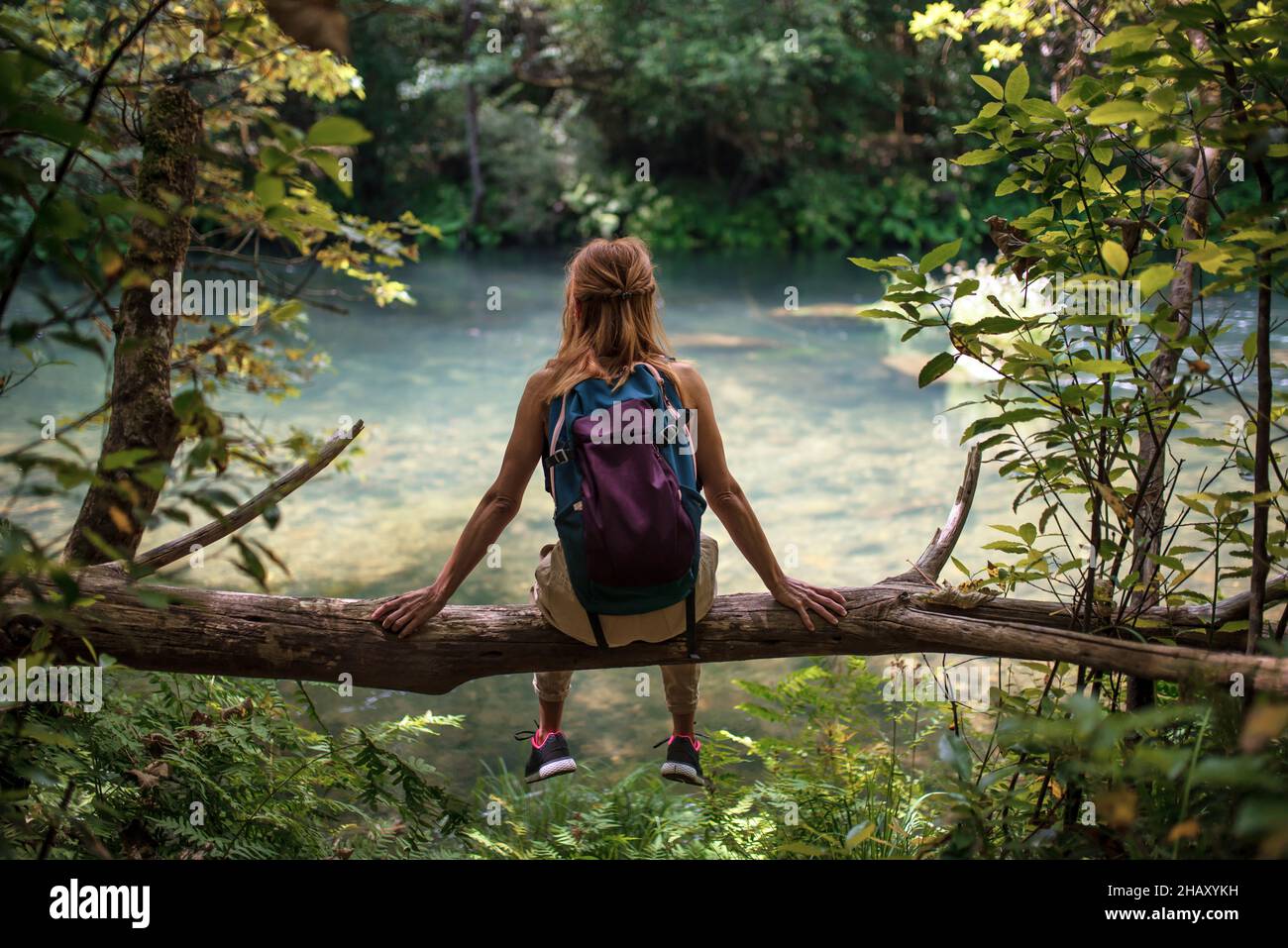 Back view of full body female backpacker sitting on trunk of tree ...