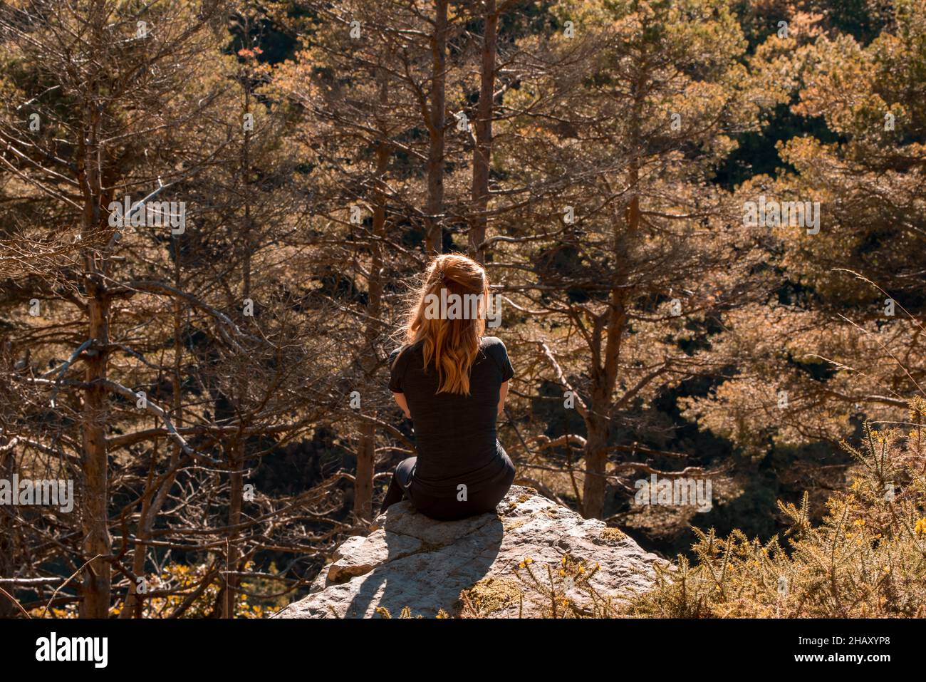 Back view of anonymous female hiker sitting alone on rocky edge of precipice in autumn Cantabria ...