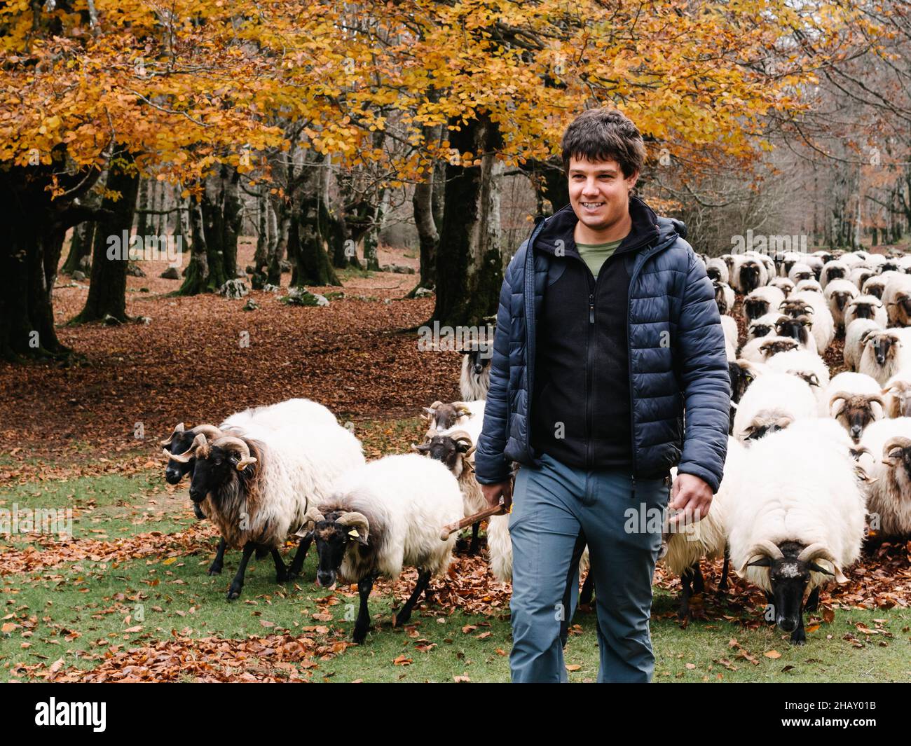 Shepherds walking stick hi-res stock photography and images - Alamy