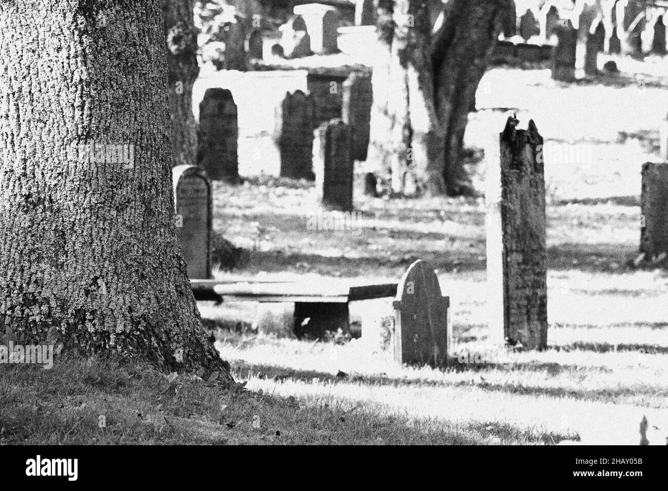 HALIFAX, CANADA - Oct 07, 2021: The old cemetery headstones in a ...