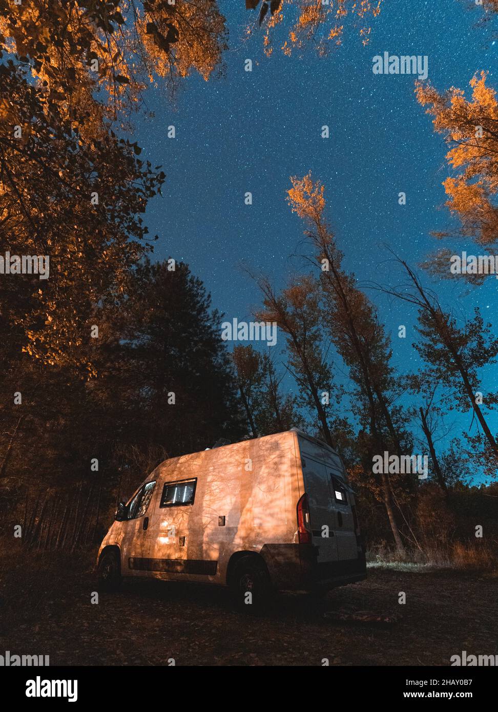 From below of white camper van parked in forest with tall trees and dry ...