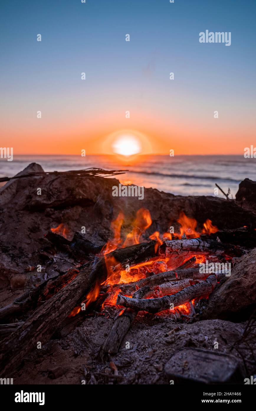 Bonfire with burning firewood during beautiful sunset at beach Stock ...