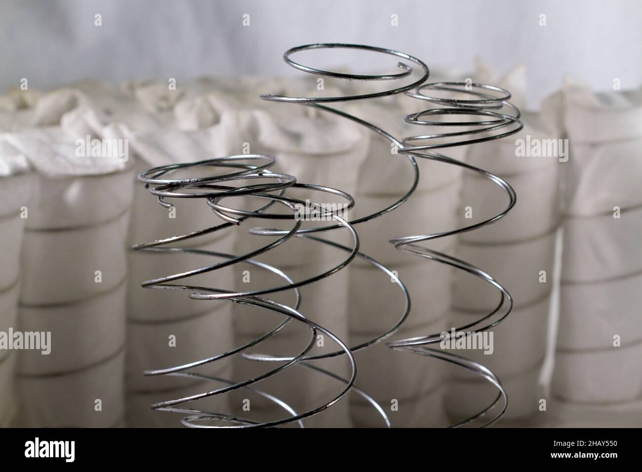 Production of independent springs for mattresses. Independent spring ...