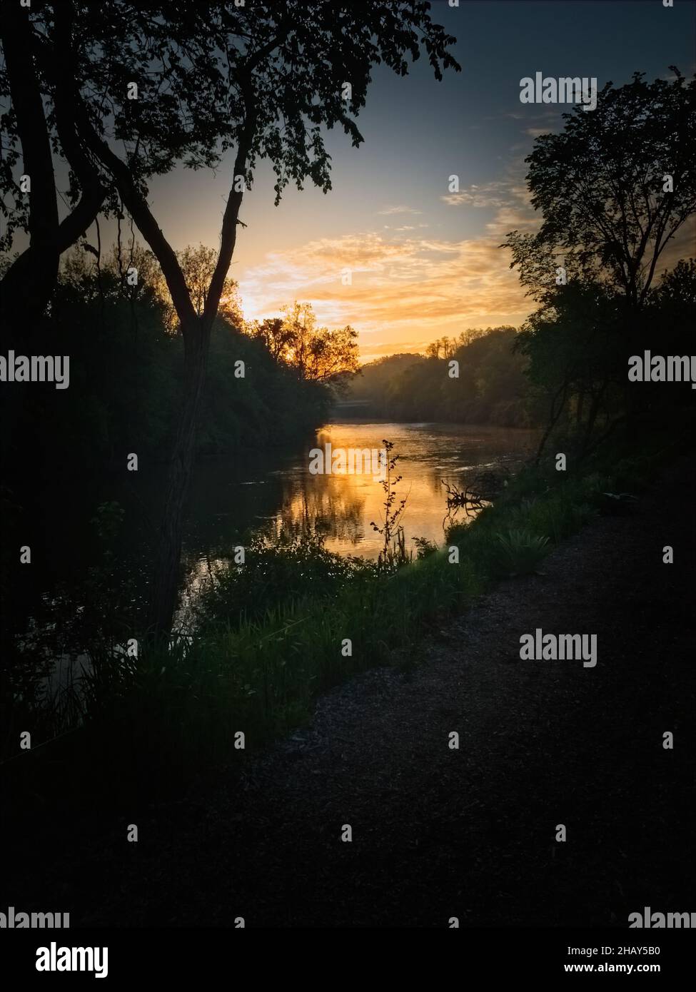 Vertical shot of the river flowing through the forest at the sunset ...