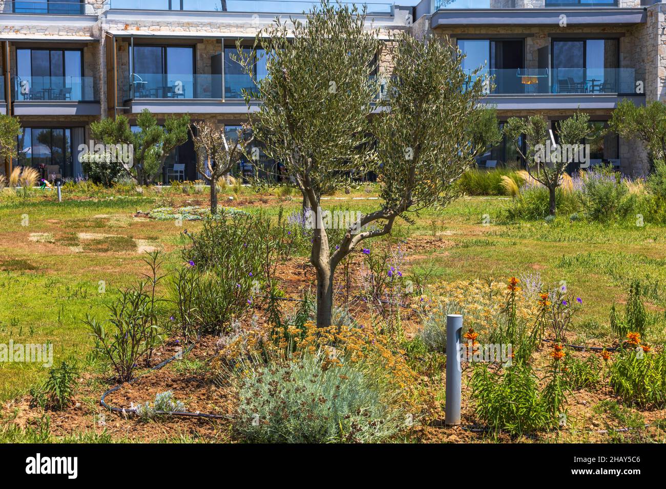 Exterior view of modern luxury resort building. Greece Stock Photo - Alamy
