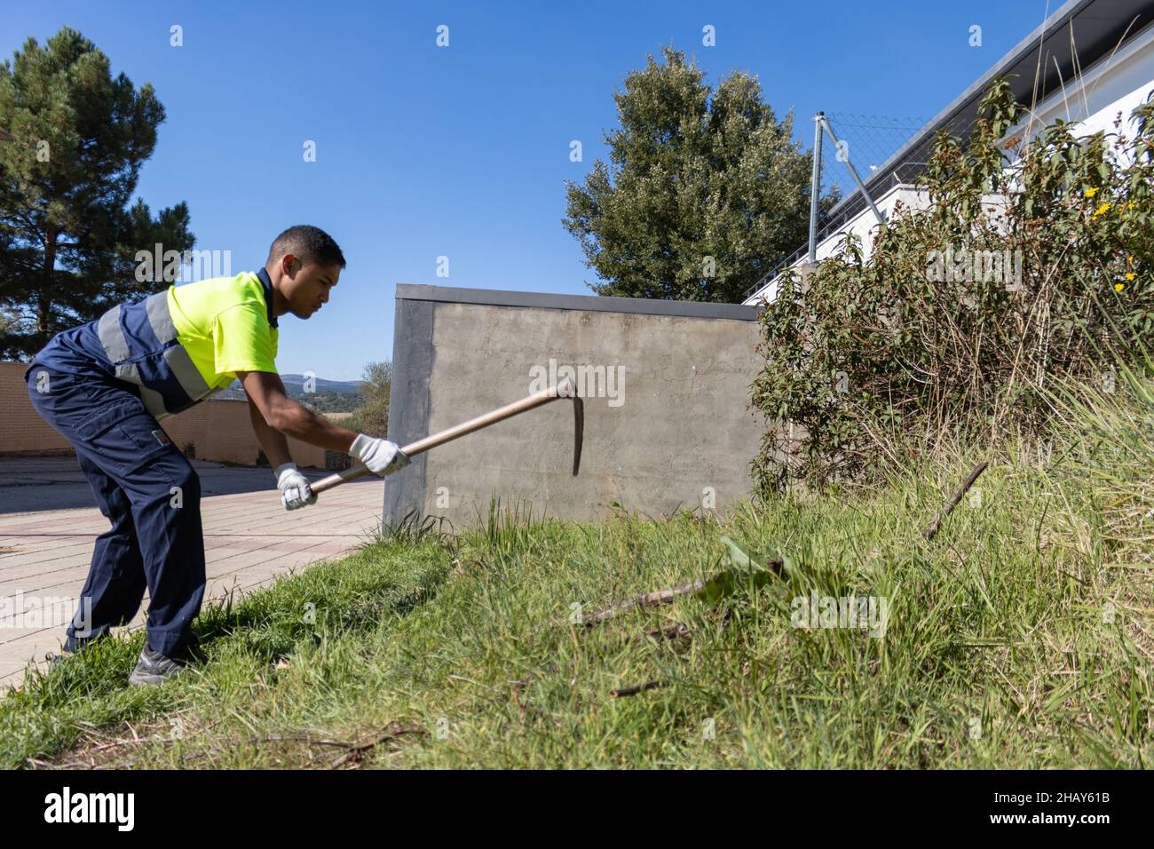 Male gardener doing maintenance work digging and hoeing in work clothes ...
