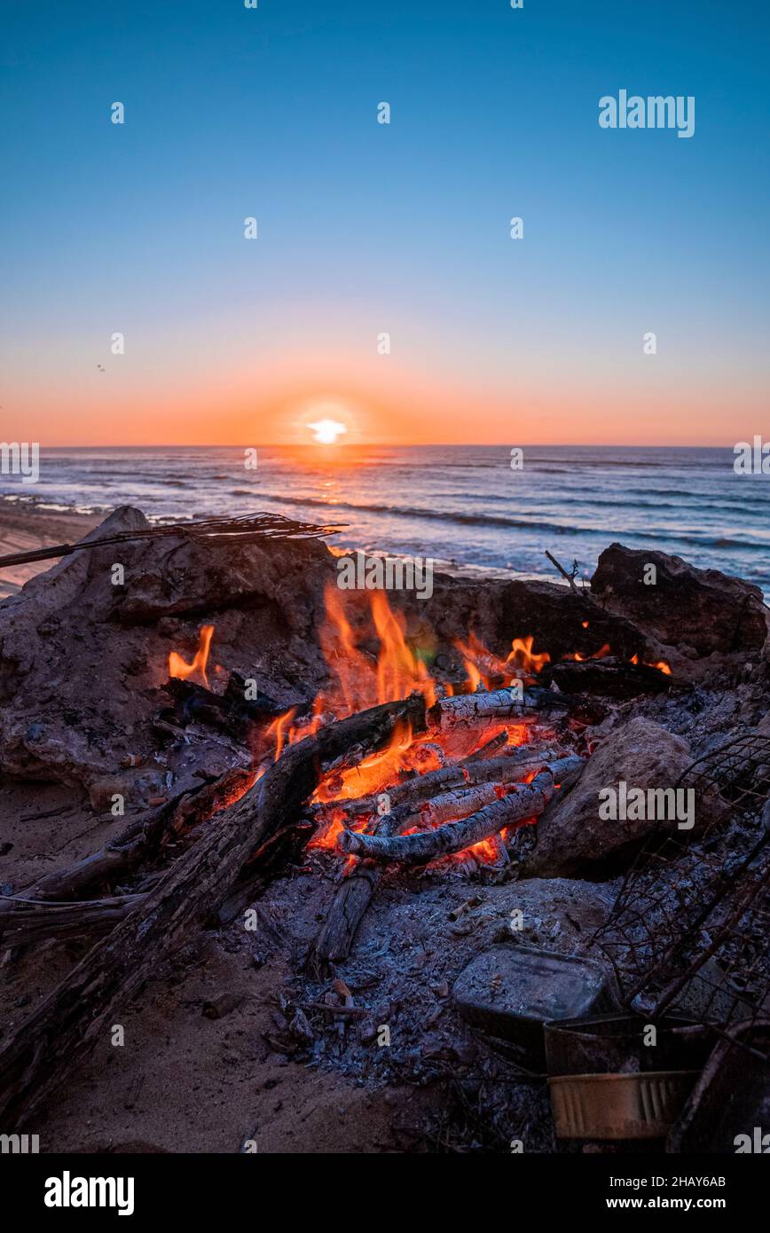 Bonfire with burning firewood during beautiful sunset at beach Stock ...