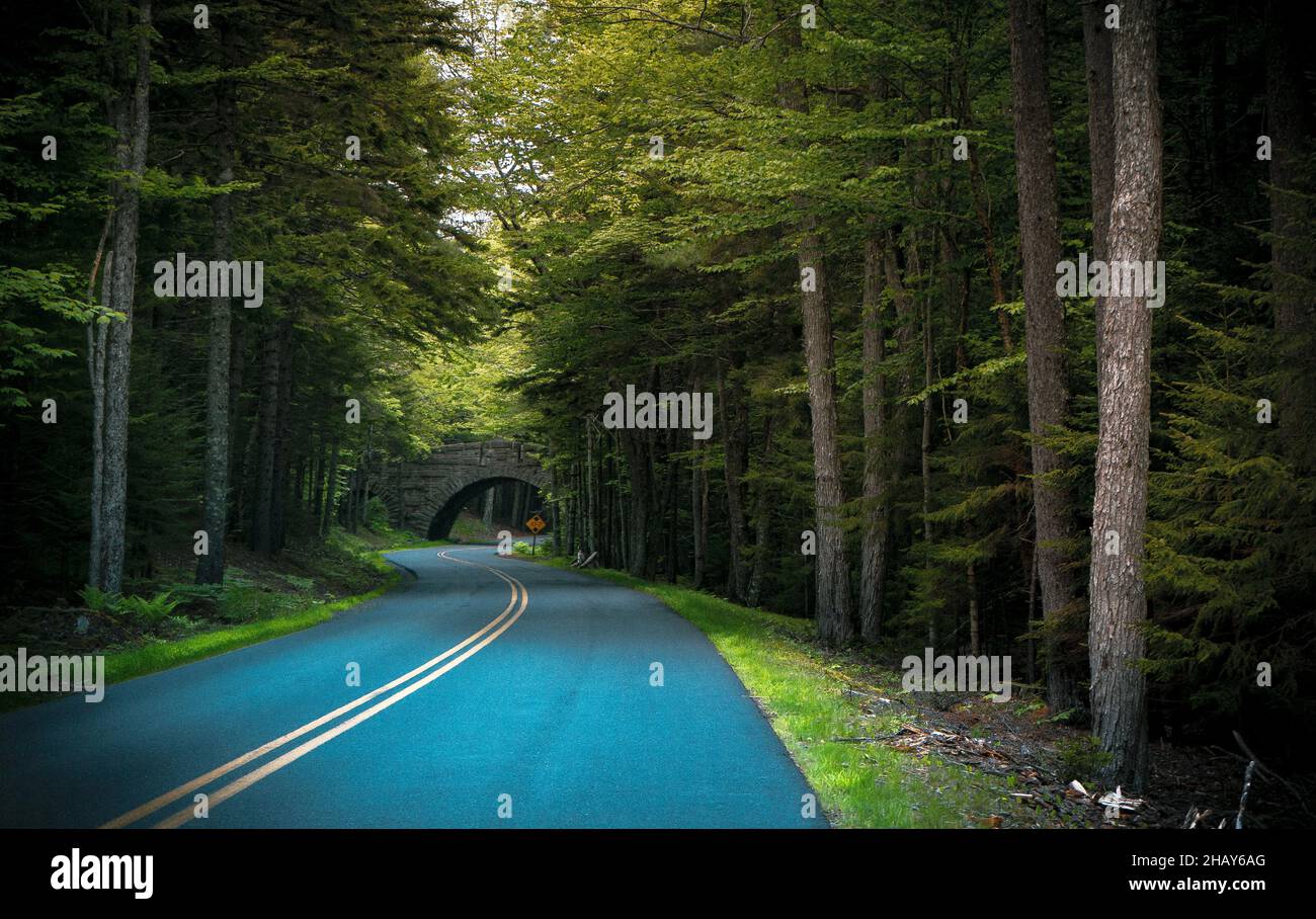 Highway and a stone bridge amid the forest in Arcadia National Park ...