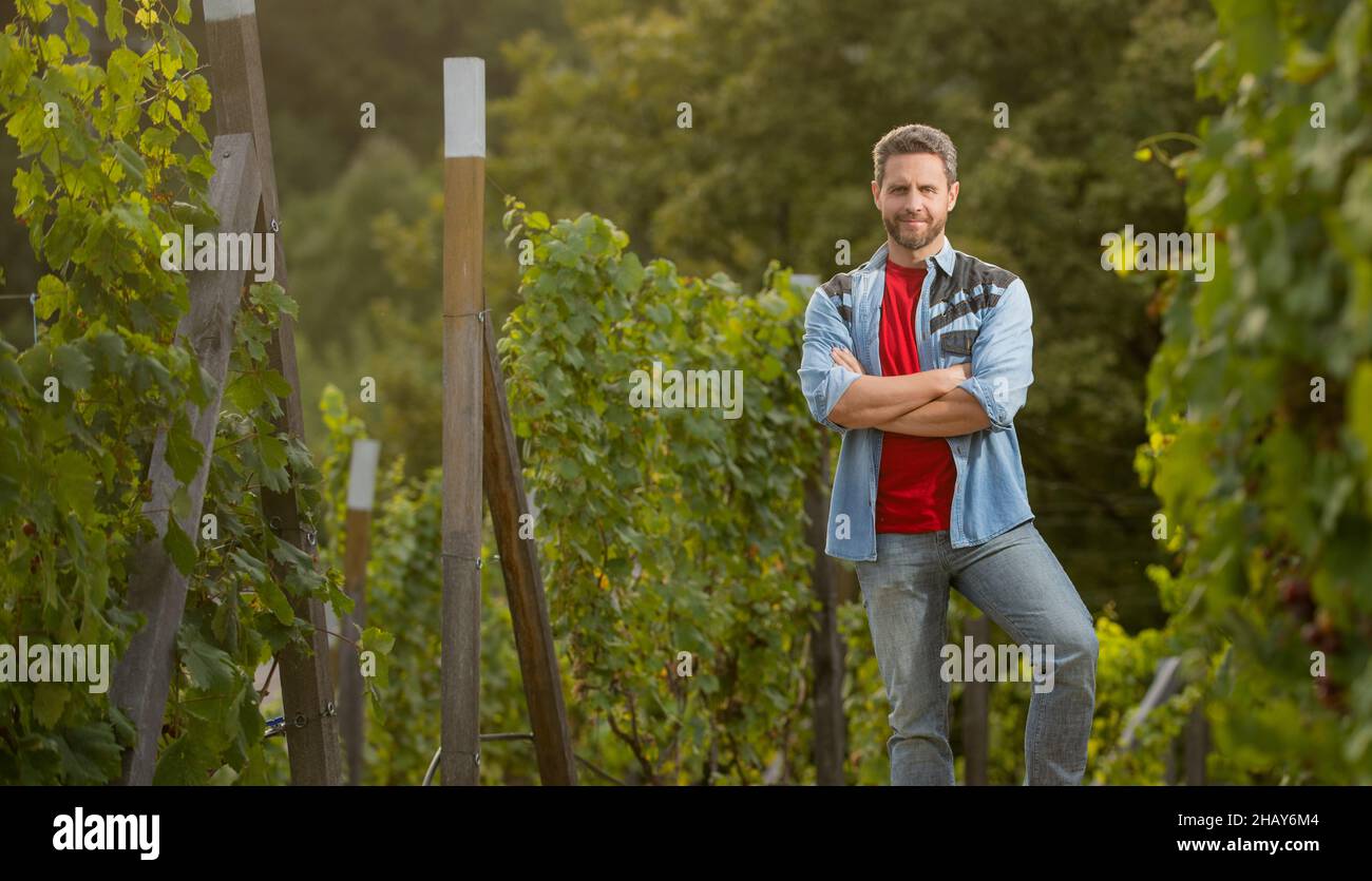 vineyard owner standing at winery among grape farm, copy space ...