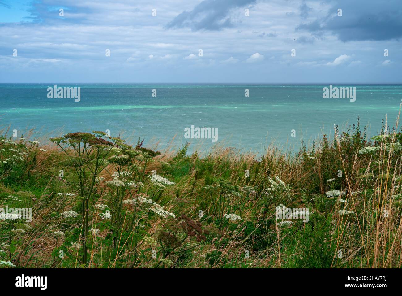 Grassy shoreline on the Atlantic coast and a view of the ocean Stock ...