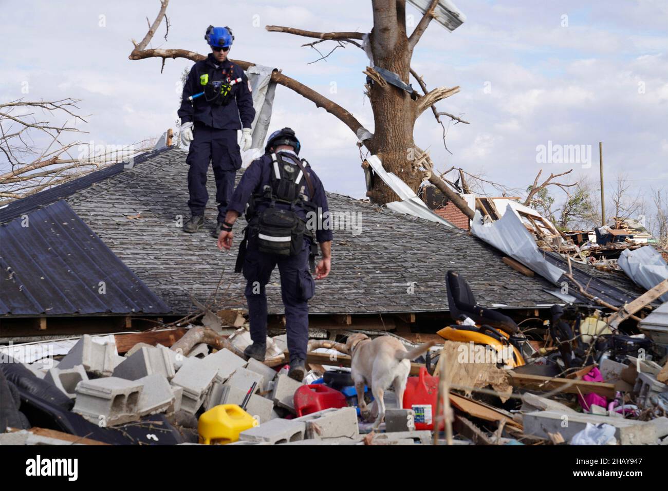 Fema urban search rescue teams hi-res stock photography and images - Alamy