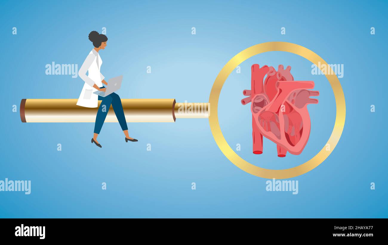 Heart anatomy ct scan Stock Vector Images - Alamy