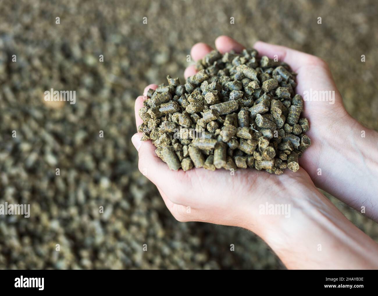 Rapeseed cake hi-res stock photography and images - Alamy