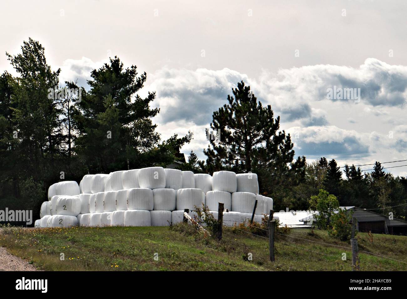White bales stacked in a field Stock Photo - Alamy