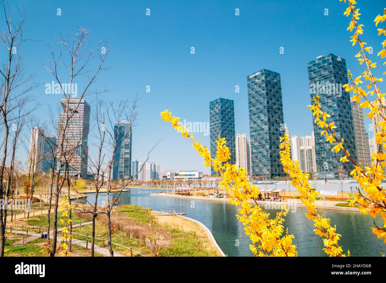 Spring of Songdo Central Park and skyscraper in Incheon, Korea Stock ...
