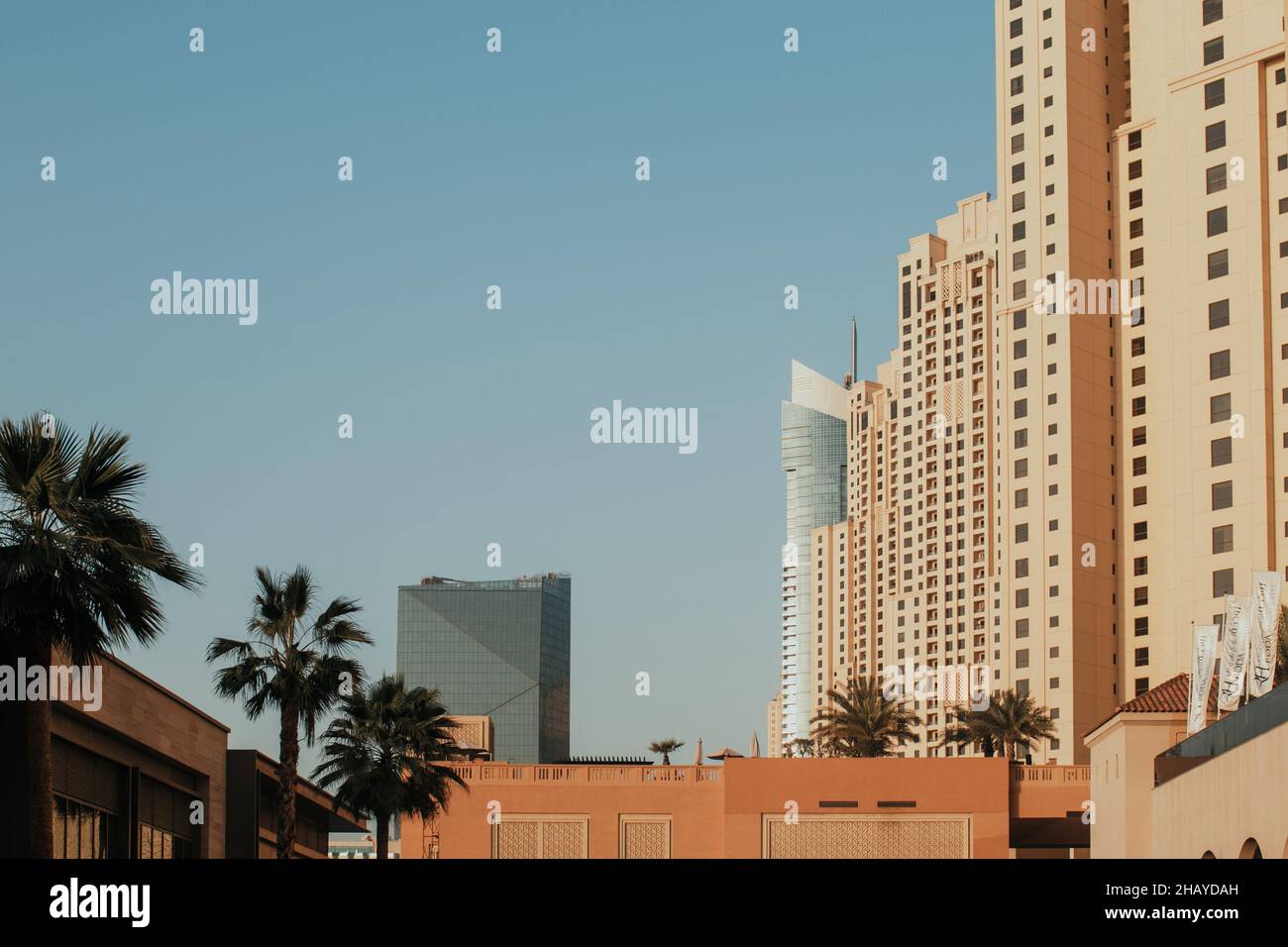 Urban Modern Skyscrapers Architecture Buildings with Blue Sky and Palm ...