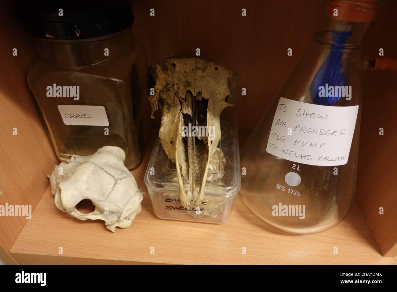 Science lab with shelves and equipment for chemical and biological ...