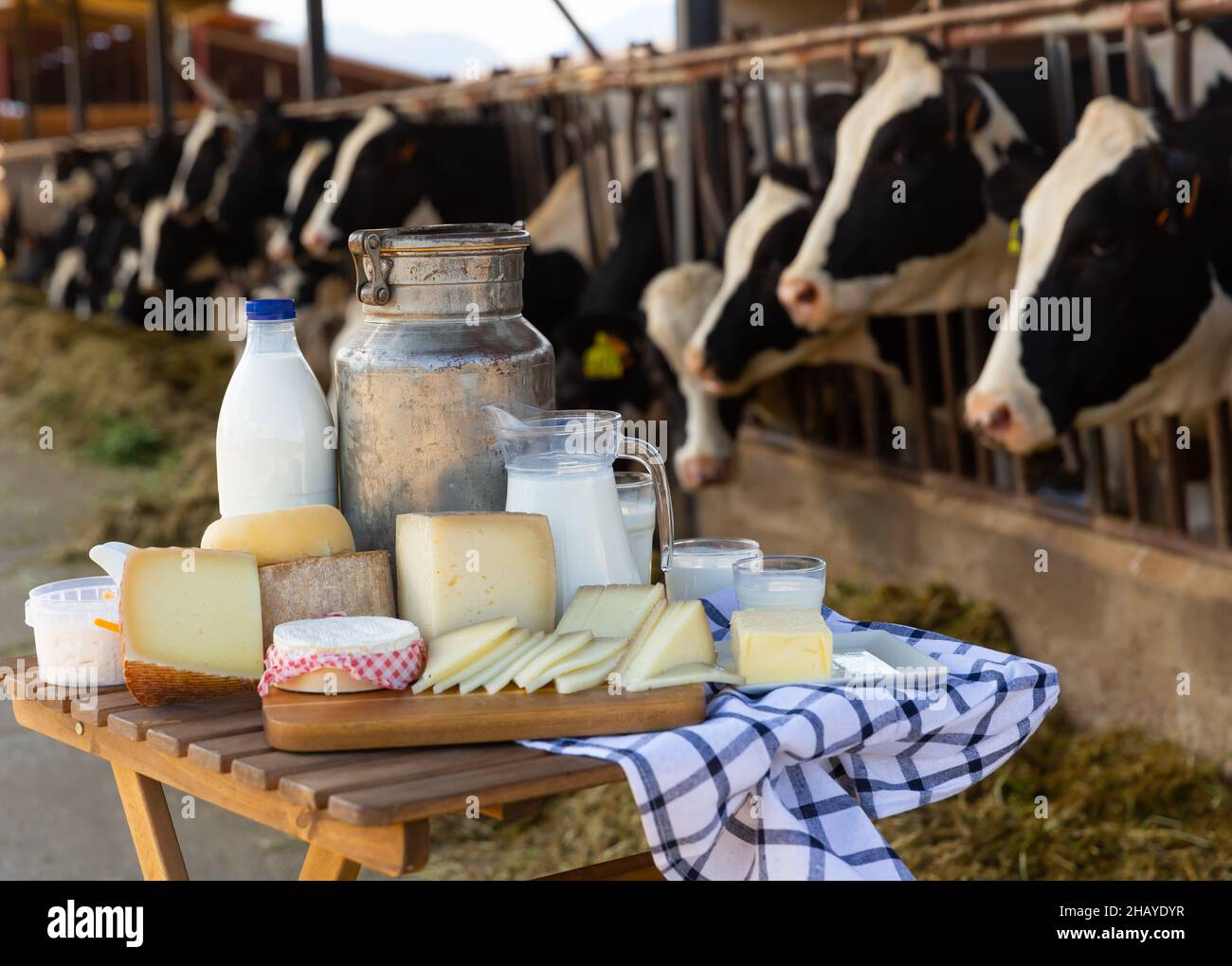 Organic farming cottage cheese hi-res stock photography and images - Alamy