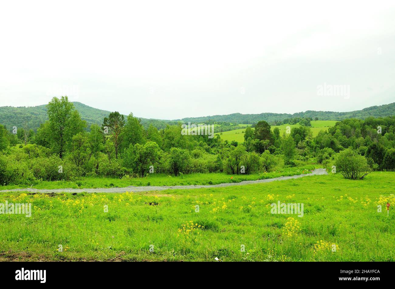 A shallow and narrow, turbulent river flows from the mountains into the ...